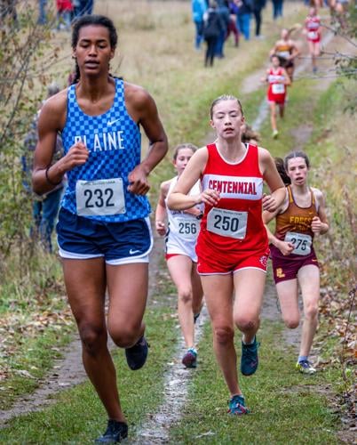 Girls x-country: Cougars head back to state after close runner-up ...