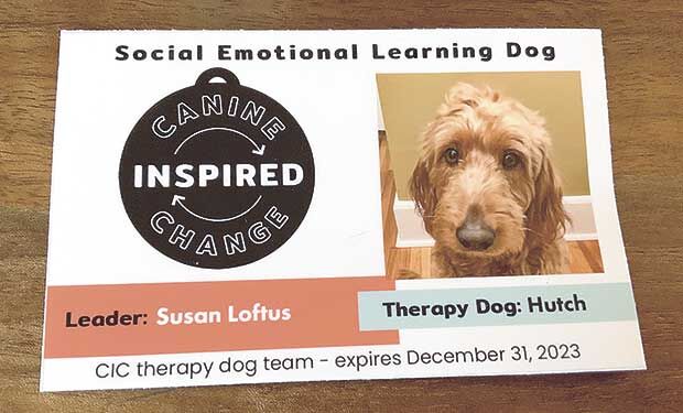 Canine Inspired Change: Dogs serve as bridge to connection | News ...