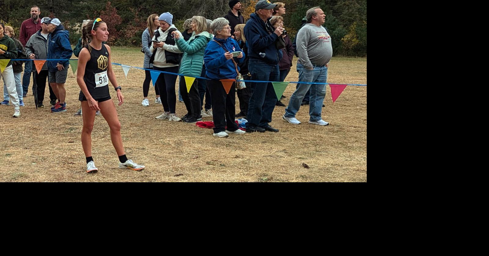 Cross country: Mustangs, Ousdigian are section champs | Local ...