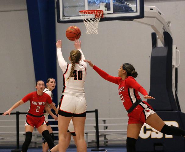 Girls basketball: Bears lose to Lakeville North 56-38 at state | Local ...