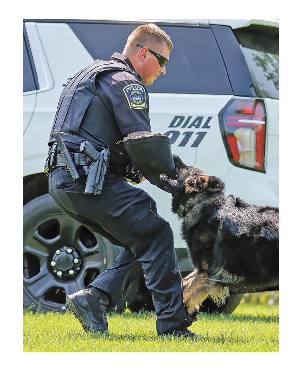 Alex Hallin: Minnesota American Legion’s Police Officer of the Year ...