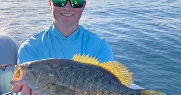 Spring bass success: What you need to know to catch bass this spring ...