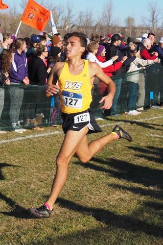Boys cross country: Bears’ Mattson places 5th at state meet, team 10th ...