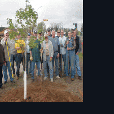 Lions tree planting effort | News | presspubs.com