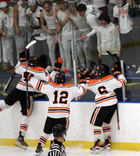 Boys hockey: Gentry knocks out Bears 5-1 | Local | presspubs.com