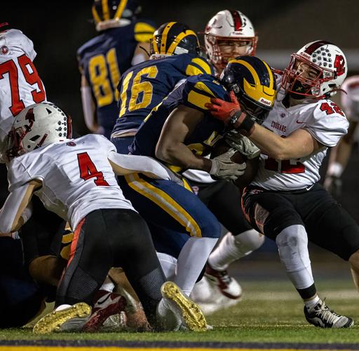 Football: Cougars clip Rosemount 21-7, playoffs next | Local ...