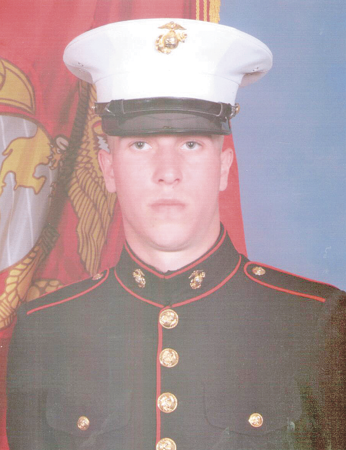 Holmquist awarded Purple Heart | News | presspubs.com