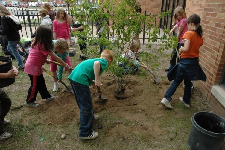 Tree-planting fun at Cambridge Intermediate | | presspubs.com