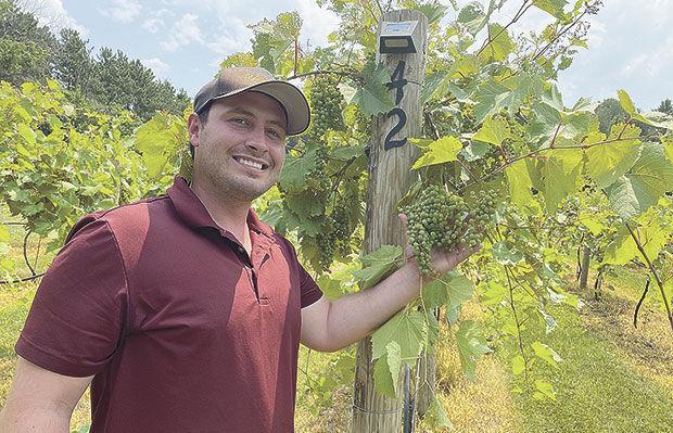 Wine country | News | presspubs.com