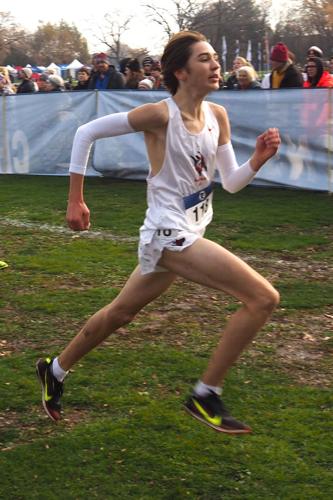 Cross country: Bears earn 6th place at state, Williams all-state again ...