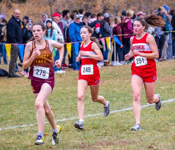 Girls x-country: Cougars head back to state after close runner-up ...