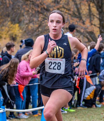 Girls x-country: Mustangs dominate Section 5AAA with Ousdigian, Taylor ...