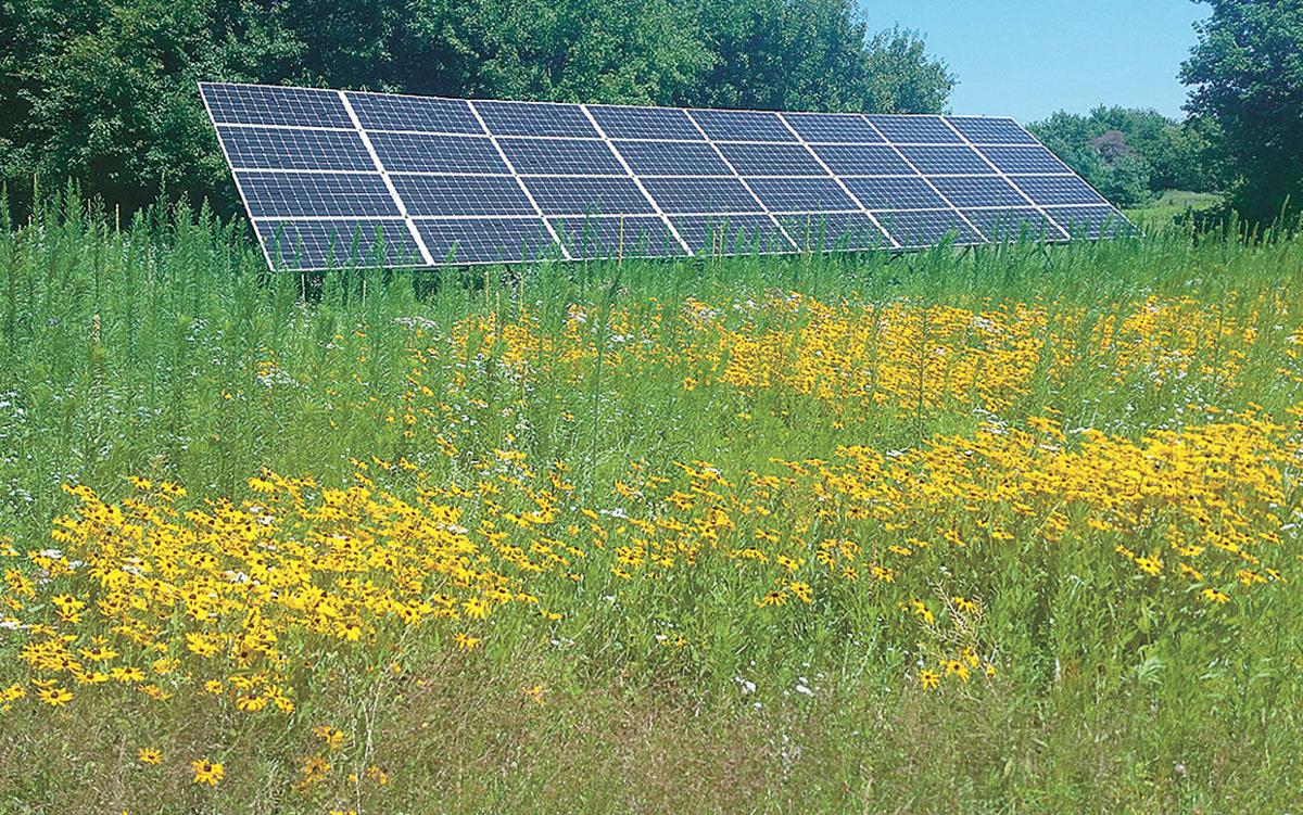 Going solar in the neighborhood | News | presspubs.com