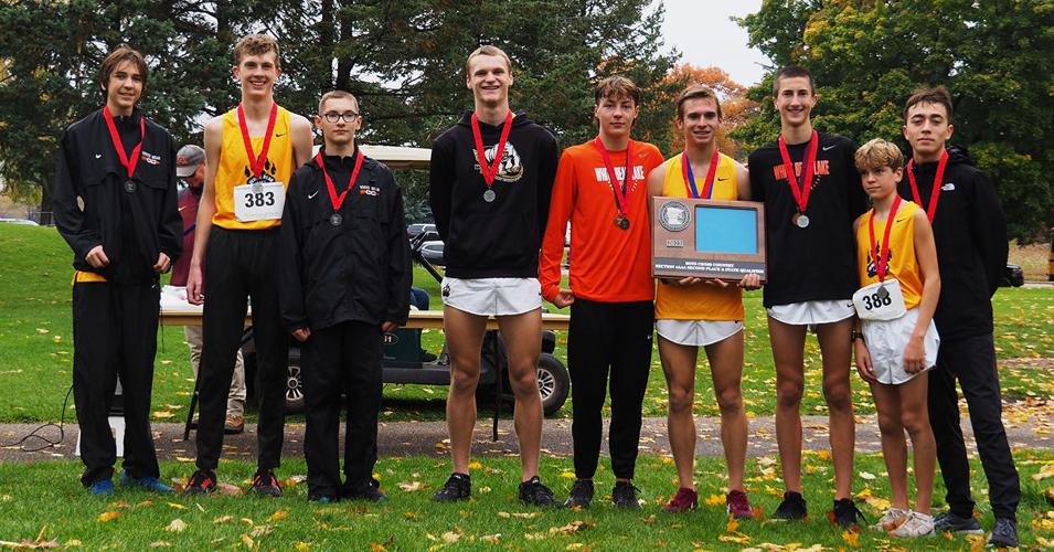 Cross country: Bears' Williams is section champ, team advances as ...