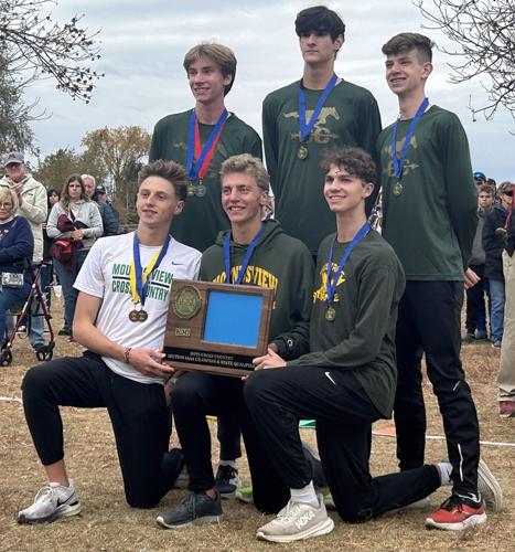 Cross country: Mustang boys dominate at sectional | Local | presspubs.com