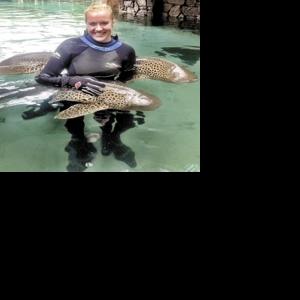 Local psychology student working with marine life at SeaWorld | News ...