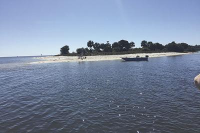 Bird disappearances and a Gulf-Minnesota connection | News | presspubs.com