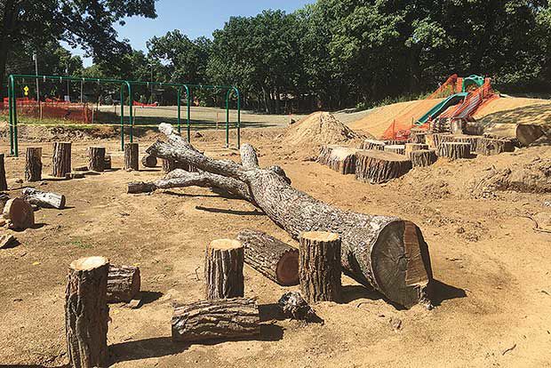 Park’s trees repurposed as playground | News | presspubs.com