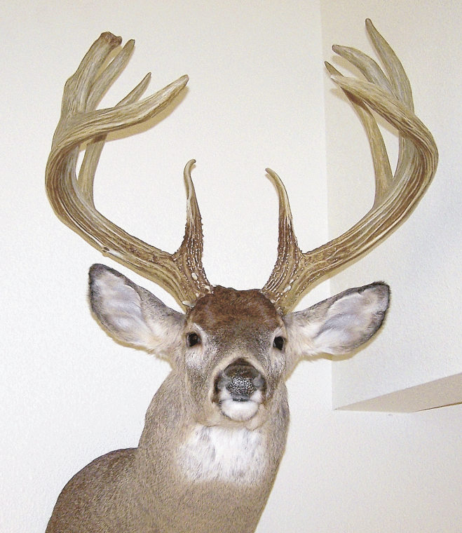 Jordan Buck plans proceed | News | presspubs.com