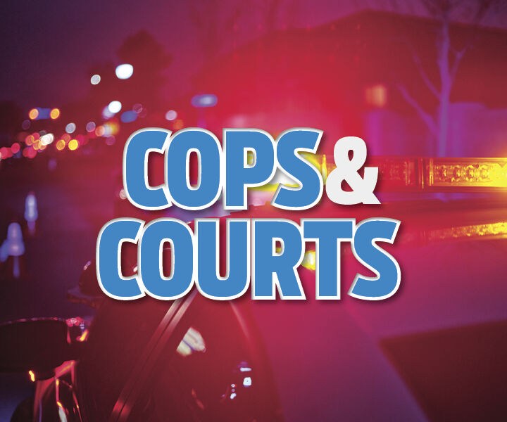 Vehicle fire claims victim in Forest Lake | Forest Lake | presspubs.com