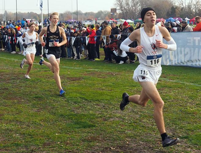 Cross country: Bears earn 6th place at state, Williams all-state again ...