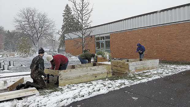 Giving Gardens growing its mission to produce | News | presspubs.com