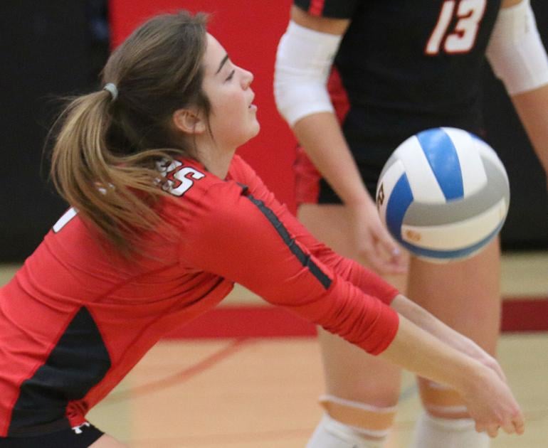 Cougar volleyball leaders, awards listed | Local | presspubs.com