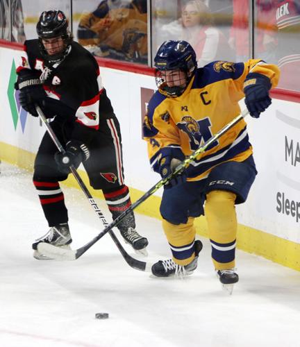 Boys hockey: Bohmert sparks Zephyrs past Alexandria 6-3 at state ...