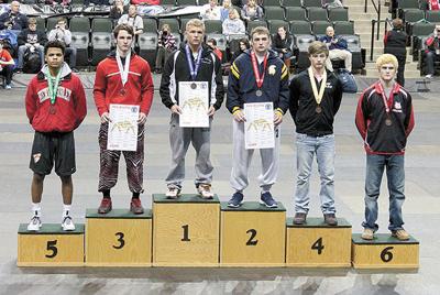 Mahtomedi’s Devin Fitzpatrick wrestles to 2nd at state finals | Local ...