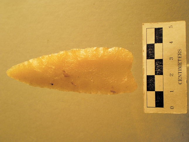 Joe Neubauer: a lifetime of discovery | News | presspubs.com