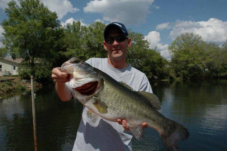 Backyard bass | | presspubs.com