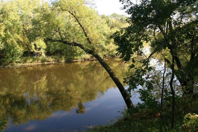 Undiscovered treasure plentiful at Becklin WMA | | presspubs.com