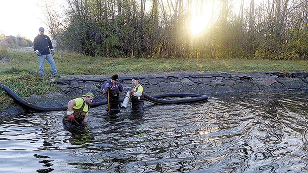 30 truckloads of zebra mussels removed from local waters | News ...