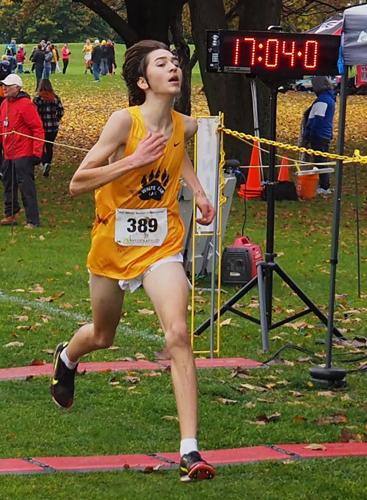 Cross country: Bears' Williams is section champ, team advances as ...
