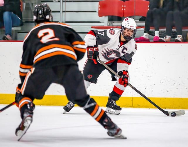 Boys hockey: Bears rally to beat Cougars in OT 5-4 | Local | presspubs.com
