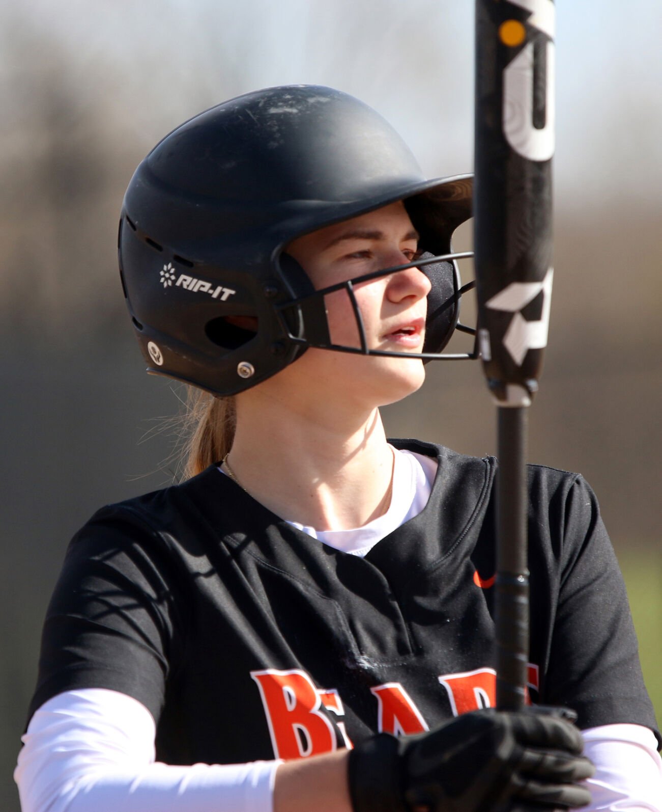 Honors, leaders listed for Bears spring sports teams | Local ...