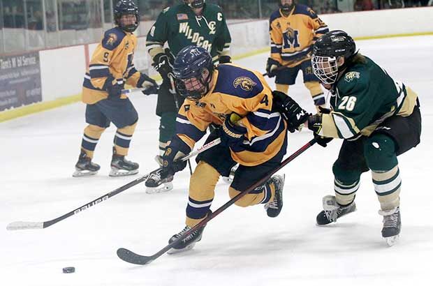 Boys hockey: Zephyrs return to state with 4-0 conquest of Chisago Lakes ...