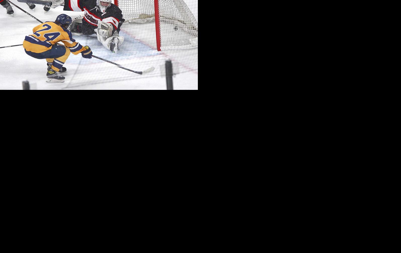 Boys hockey: Bohmert sparks Zephyrs past Alexandria 6-3 at state ...