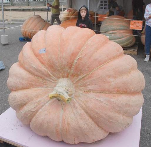 world record pumpkin weight