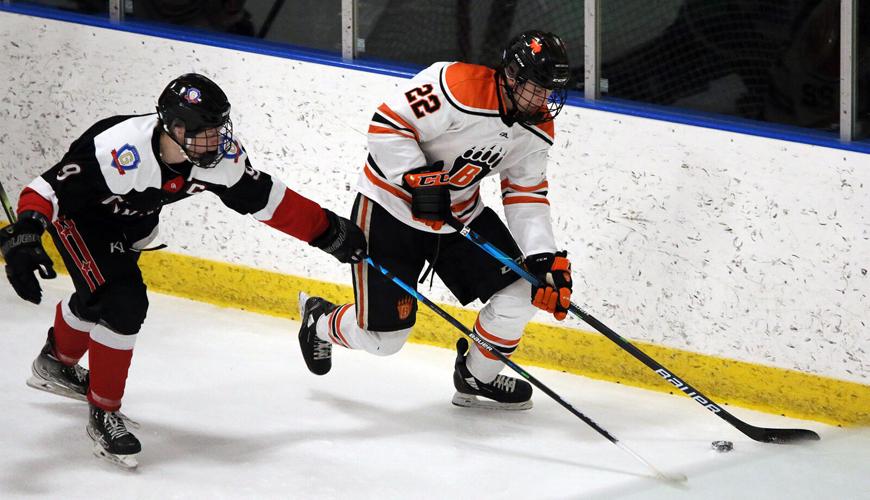 Boys hockey: Gentry knocks out Bears 5-1 | Local | presspubs.com