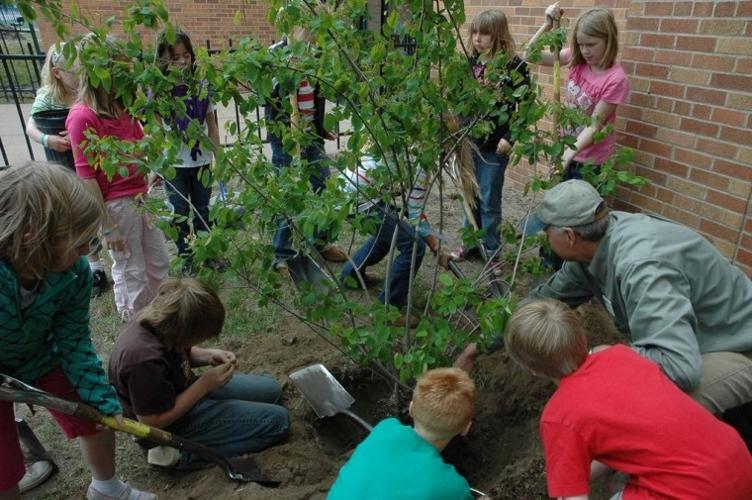 Tree-planting fun at Cambridge Intermediate | | presspubs.com