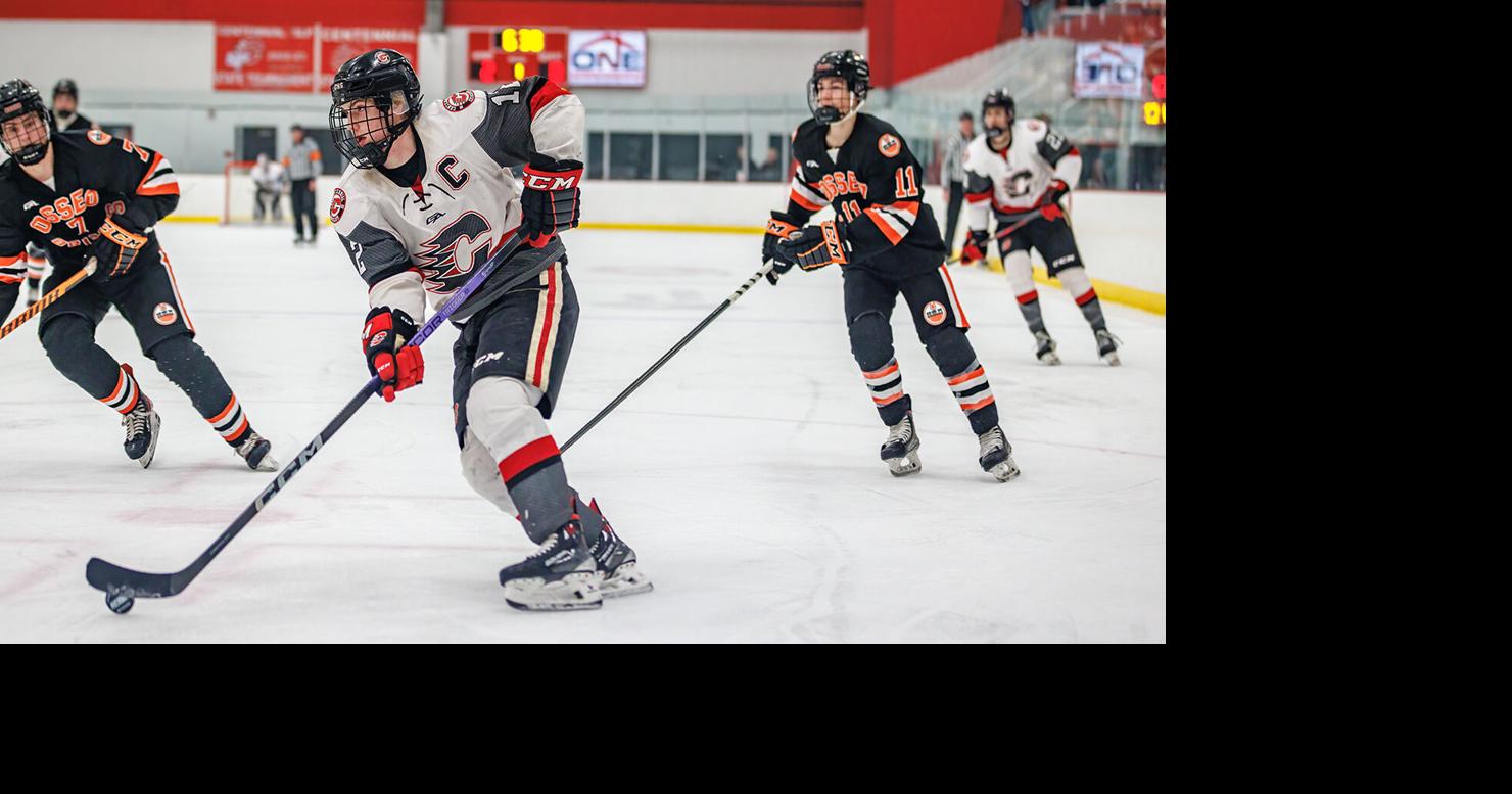 Hockey: Cougars extend streak with 7-2 win over Champlin Park | Local ...