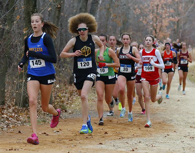 Cross country: Mustang girls 3rd at state meet; Ousdigian, Isabel all ...