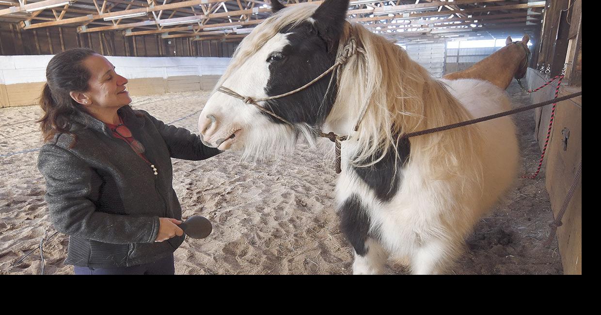 Community rallies to save Mel-O-Dee Stables | News | presspubs.com