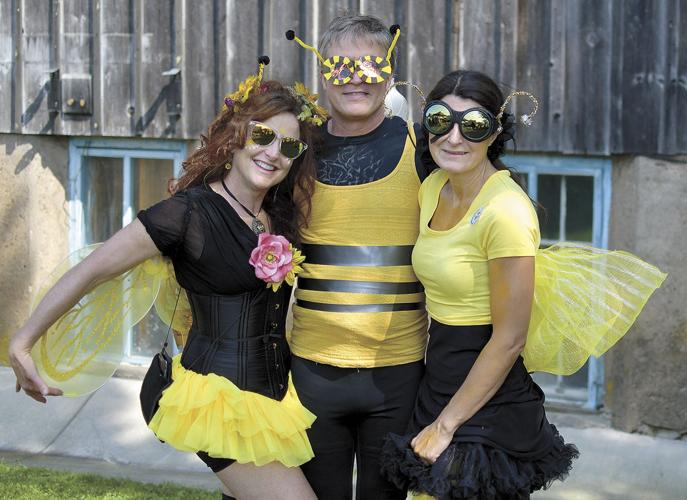 Fun, music and honey bring the buzz at PolliNATION festival | News ...