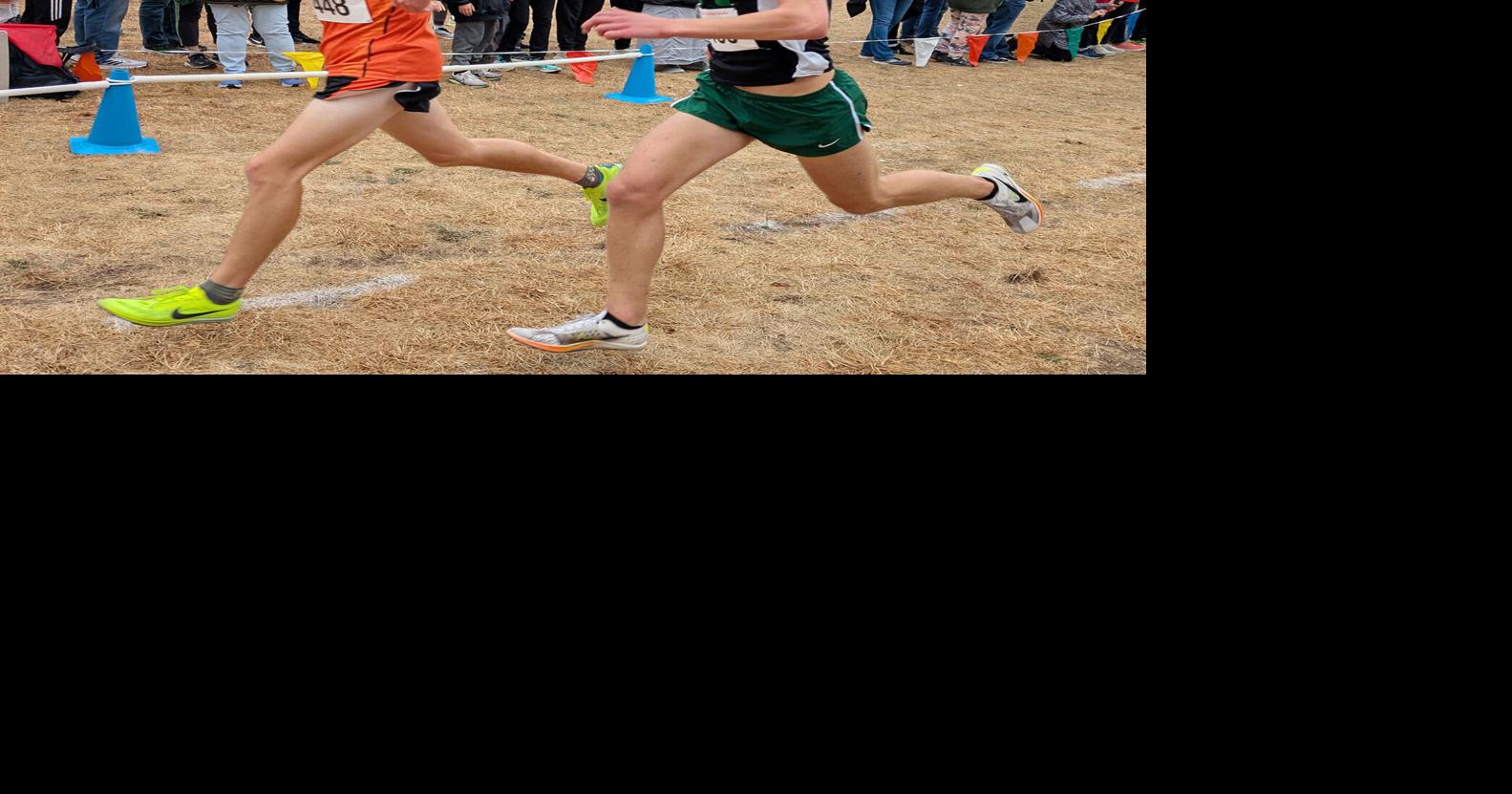 Cross country: Mustang boys dominate at sectional | Local | presspubs.com