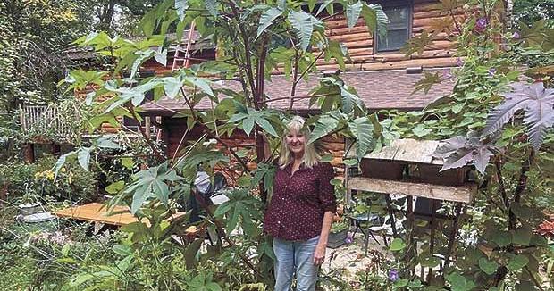 ‘Anna and the castor beanstalk’ rises high in Mahtomedi | News ...