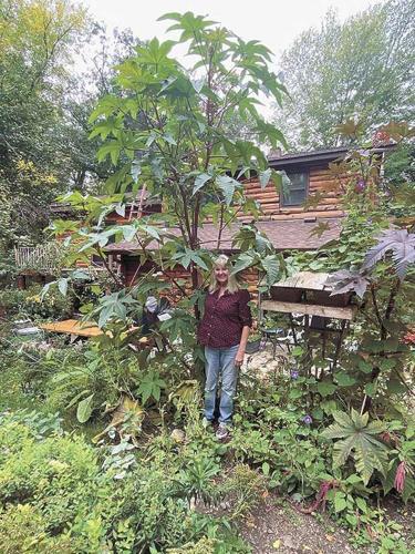 ‘Anna and the castor beanstalk’ rises high in Mahtomedi | News ...