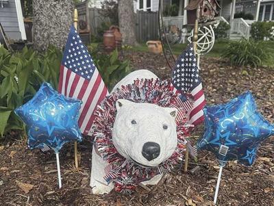 Iconic bears to go red, white and blue for America’s 250th anniversary ...
