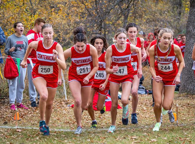 Girls x-country: Cougars head back to state after close runner-up ...